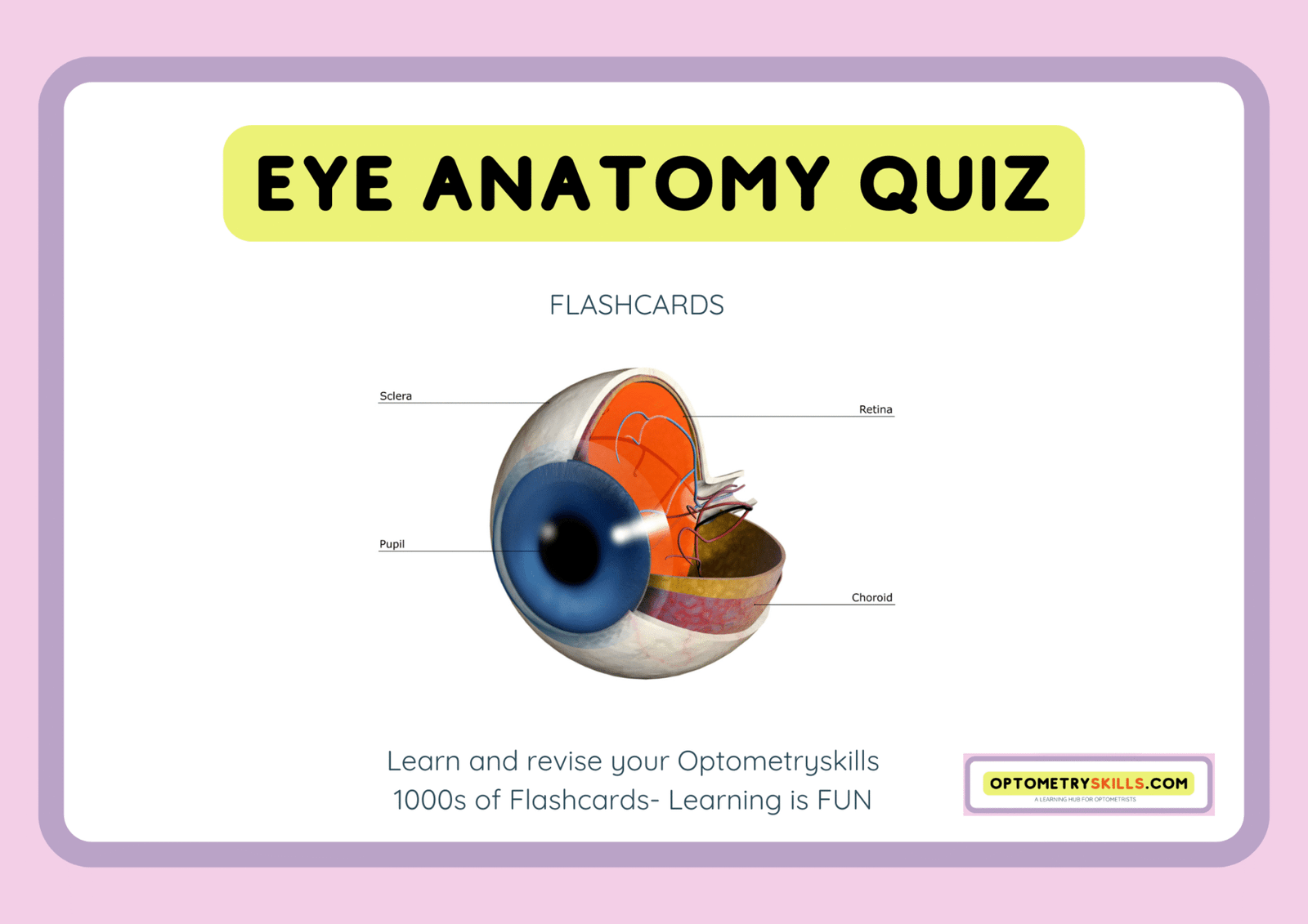 Eye Anatomy Free Flashcards - Optometryskills